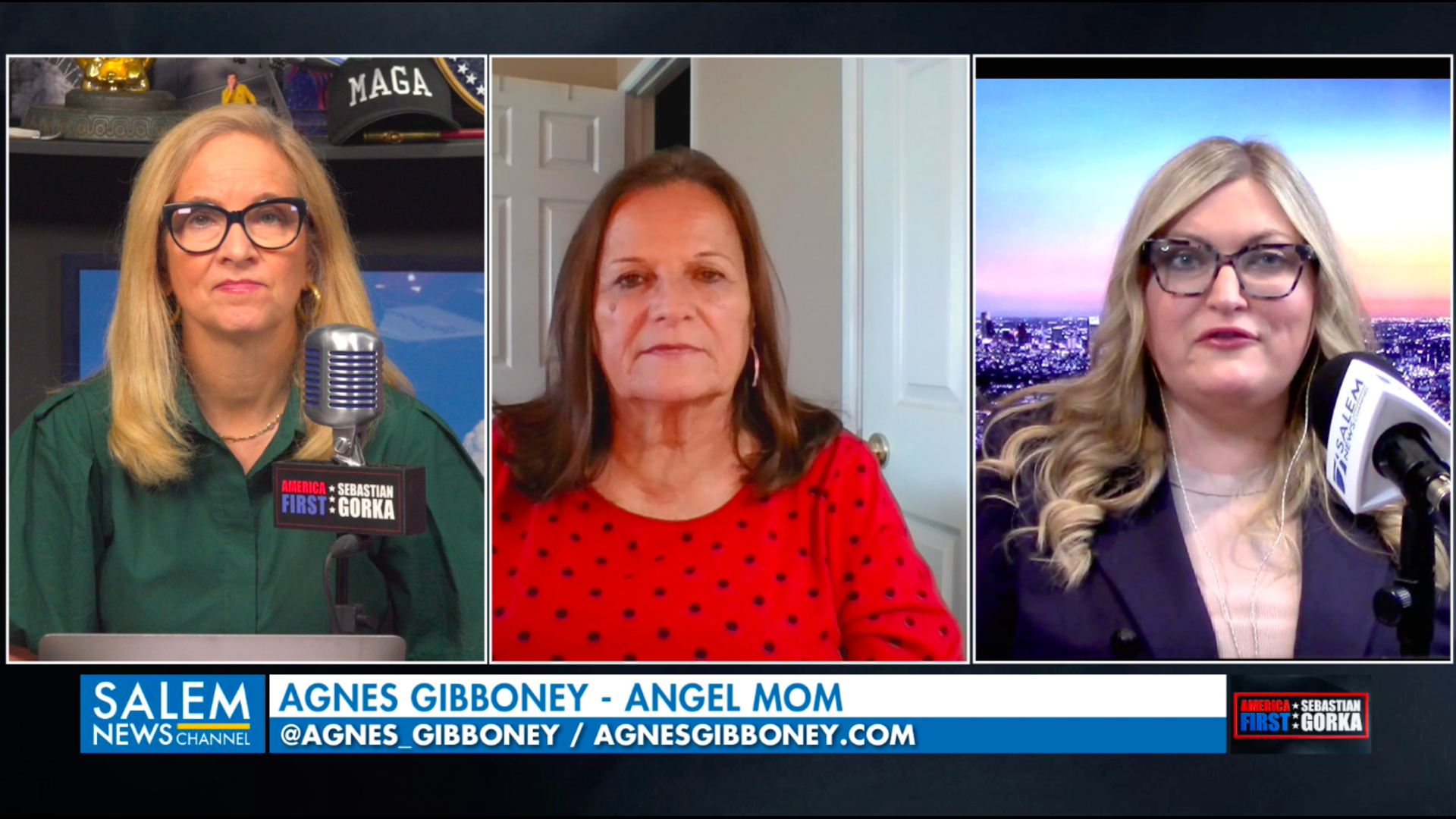 California protecting illegal alien pedophiles. Agnes Gibboney with ...