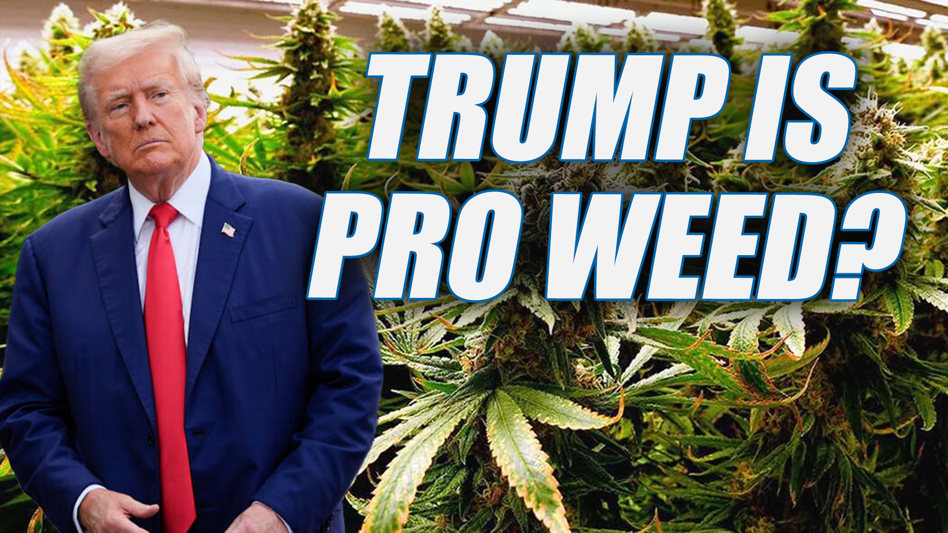 Trump To Reclassify Weed